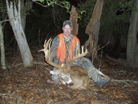 30 Point Whitetail Buck